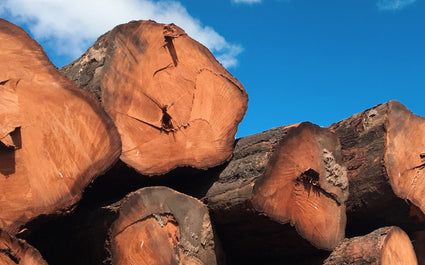 Buy the Best Hanuman Gada (Mace) – 4kg, 8kg, 12kg | 10% Off! - Mudgar ...